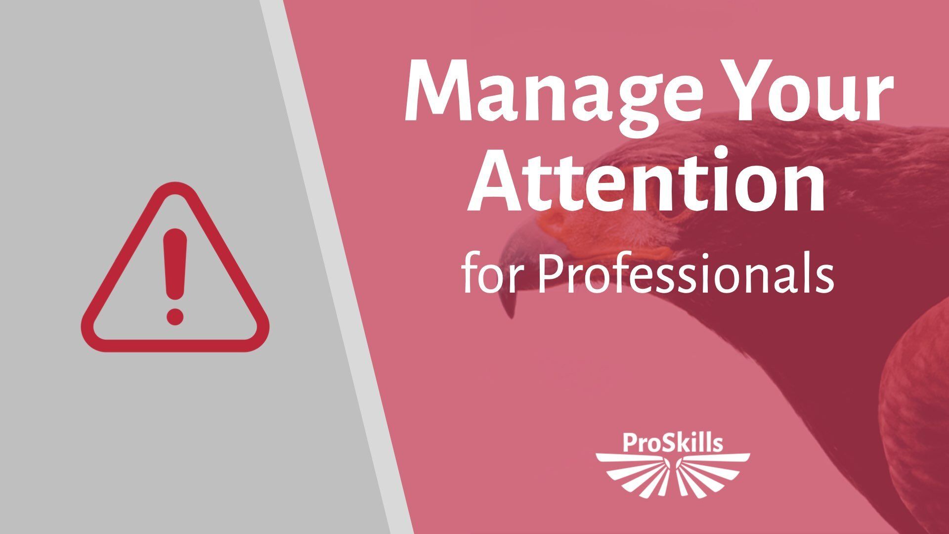 Managing Your Attention is More Important Than Managing Your Time ...